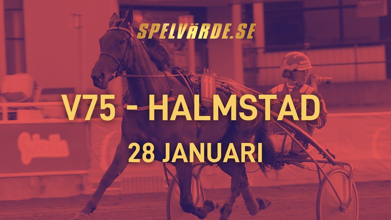 Jackpot-uppsnack V75 Halmstad 28/1 - YouTube