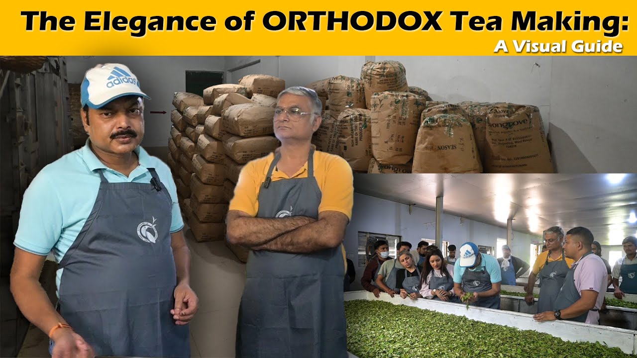 Factory Tour: Making Orthodox Tea Revealed | Tea Business Course # ...