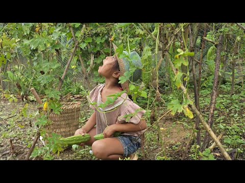 Full video - Poor girl alone, hard-working and earning a living, in a small house