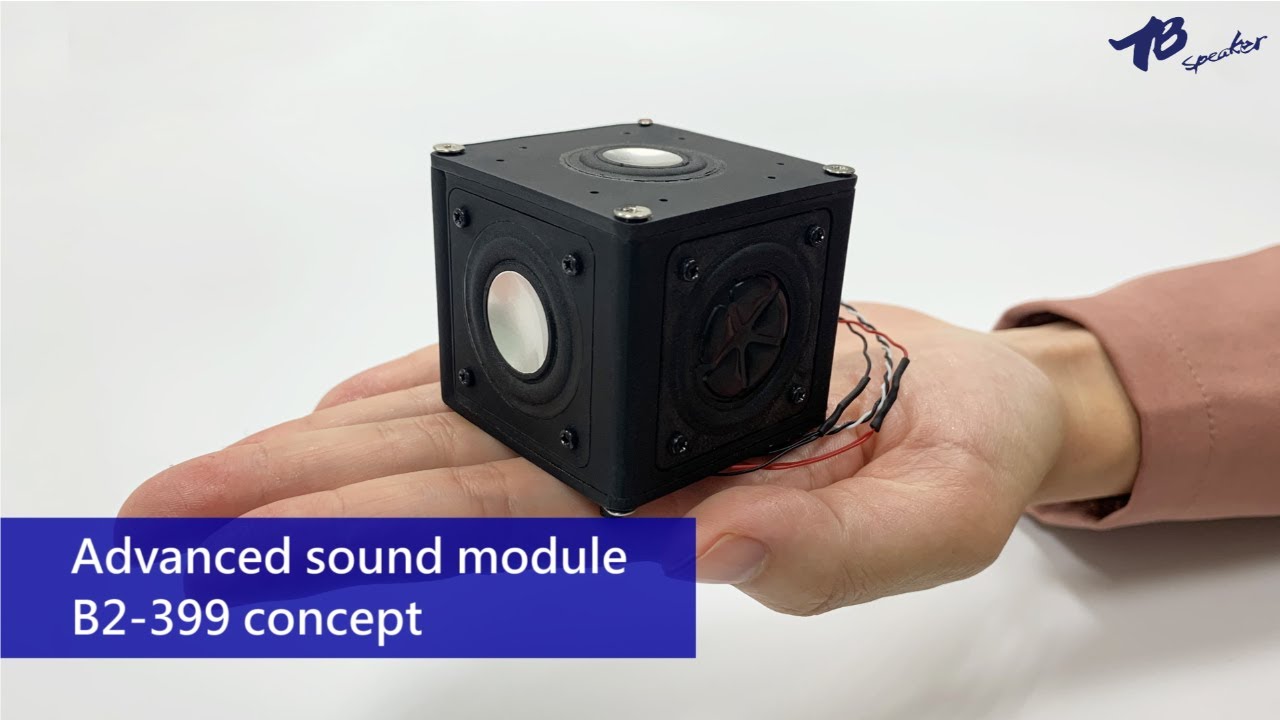 Tang Band(TB Speaker)- Small Sound Module ( Advenced Sound Module ...