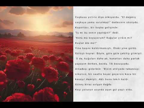 MEB 9.Sınıf Türk Dili ve Edebiyatı 3.Tema Sayfa 207   Karanfilsiz Adlı Hikâye