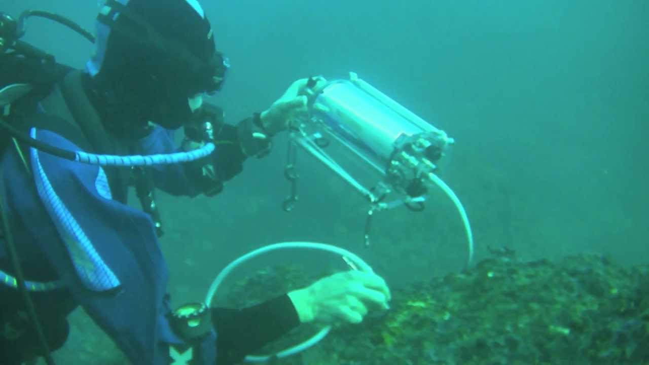 Dive-PAM training - Preparing for the Global Reef Expedition - YouTube
