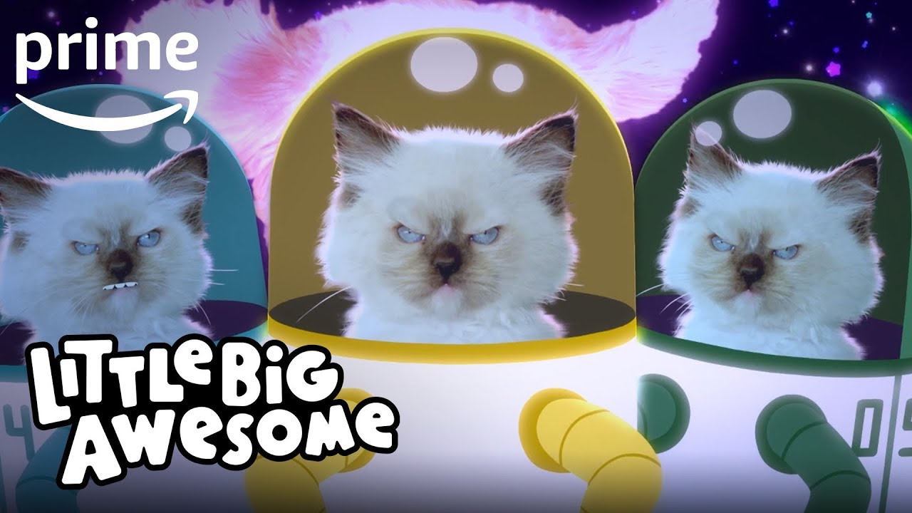 Little Big Awesome - Music Video: Puppy Shower | Prime Video Kids - YouTube