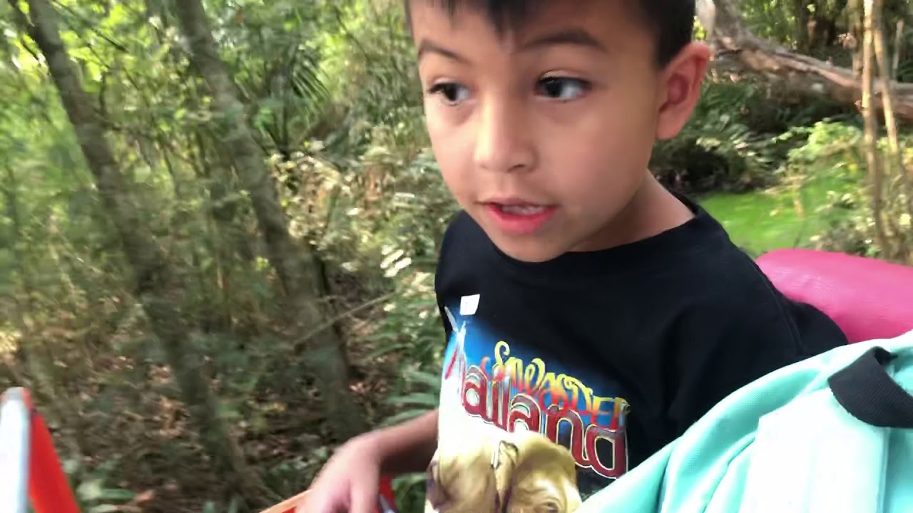 Kids riding on elephants |Thailand |family vacation - YouTube