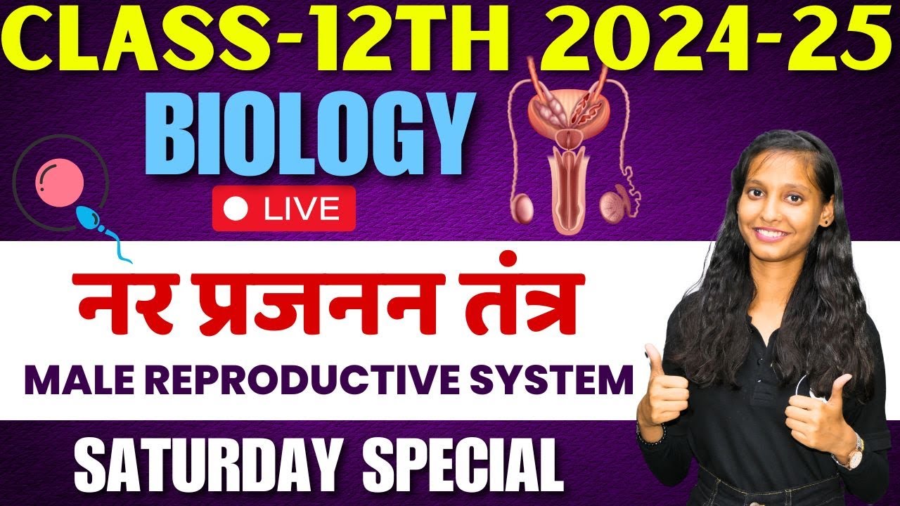 नर जनन तंत्र | Male Reproductive System | nar janan tantra | nar janan ...