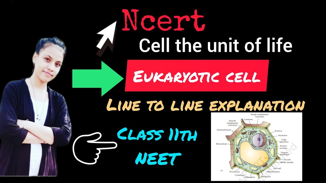cell the unit of life eukaryotic cell line to line explanation 📚#neet # ...