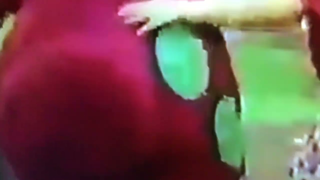 Barney And Friends Playing Conga 0008 - YouTube