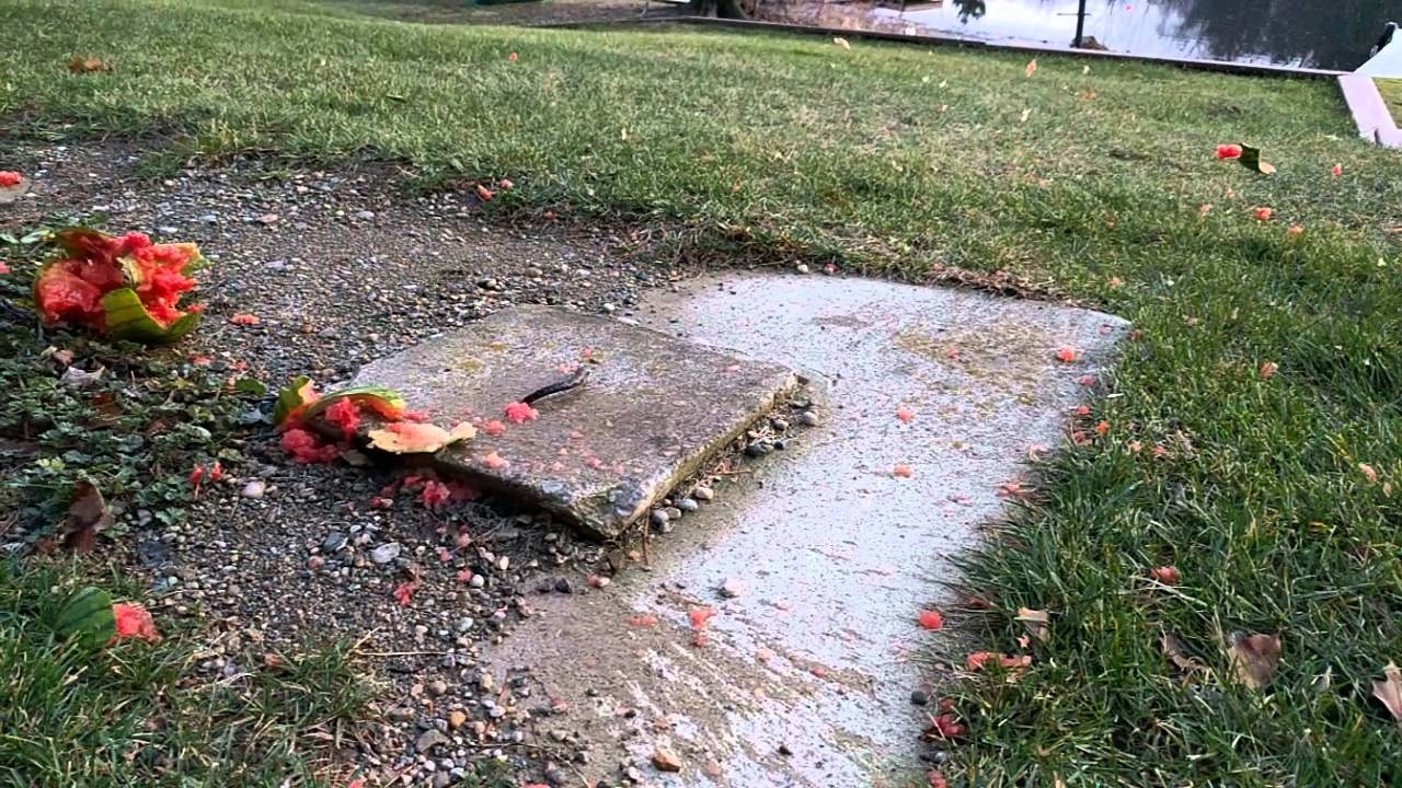 Exploding watermelon, slow motion, 240fps. - YouTube