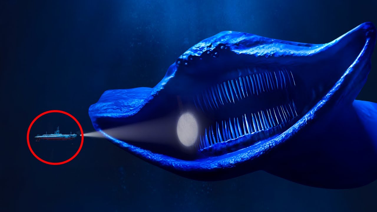 This Fish Was So Huge It Was Mistaken for a Sea Monster! - YouTube