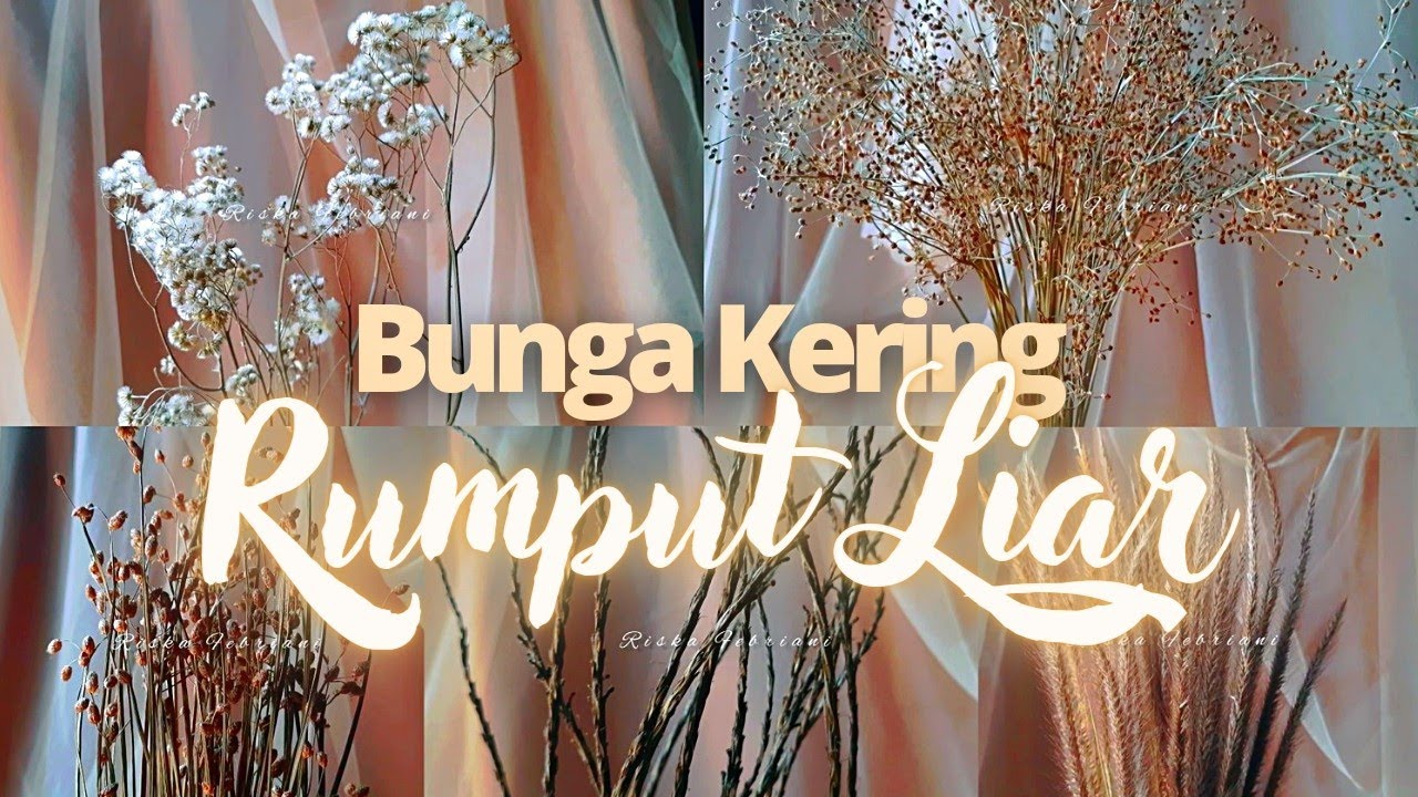 MEMBUAT BUNGA KERING DARI BUNGA RUMPUT LIAR | CARA MUDAH MENGERINGKAN ...