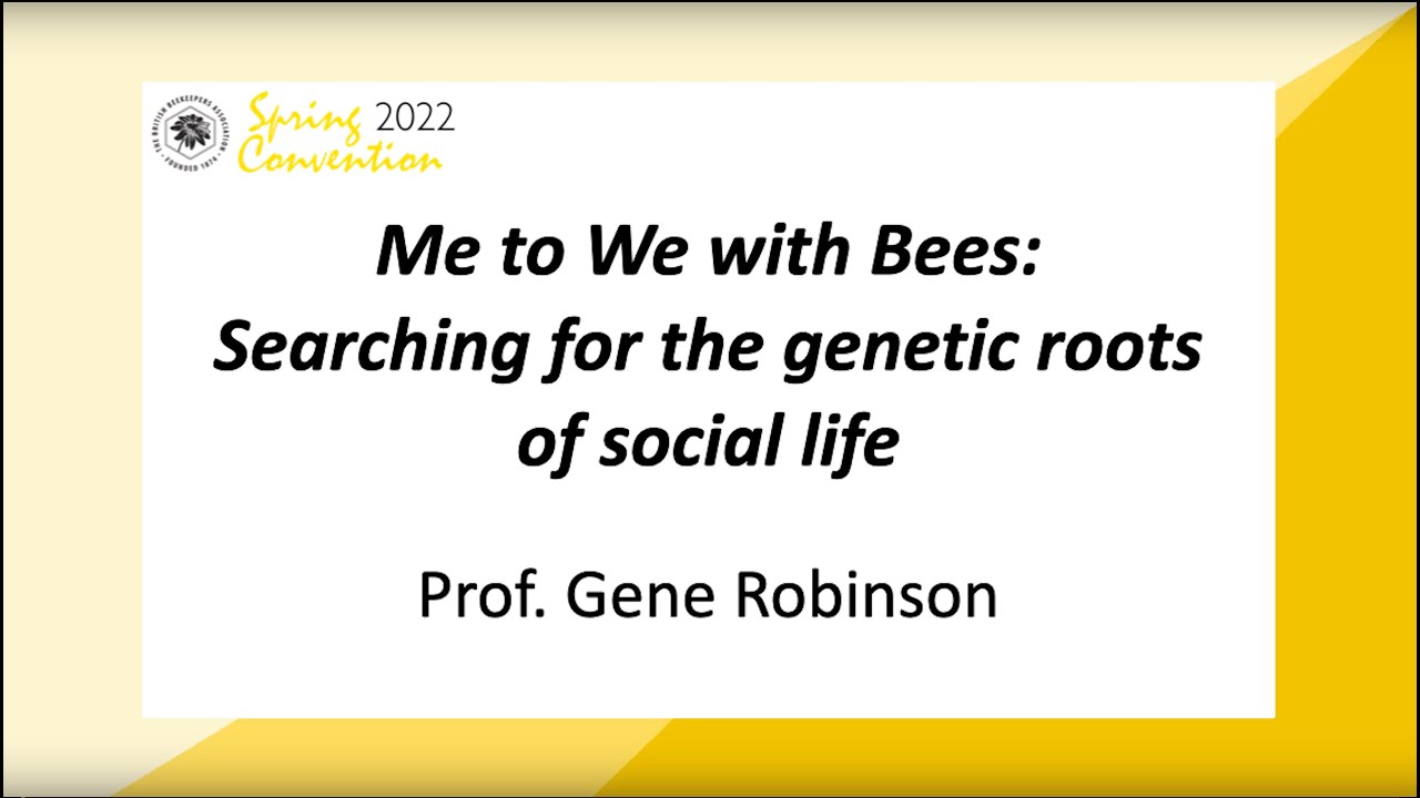 Prof Gene Robinson: Me to We with Bees: Searching for the genetic roots ...