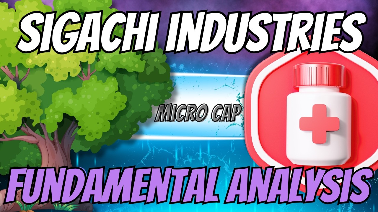 🌴 Microcap Multibagger? Fundamental Analysis - Sigachi Industries - YouTube