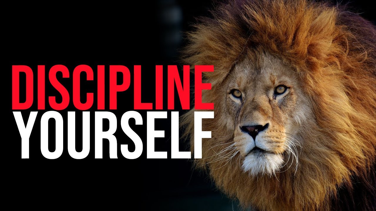 Discipline Yourself - Coach Pain & Eric Thomas | Lion Mode Motivation ...