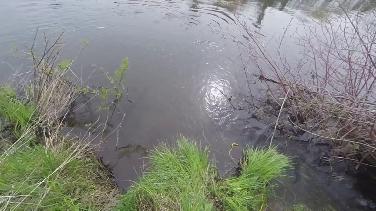 Flint River Pike Fishing - YouTube