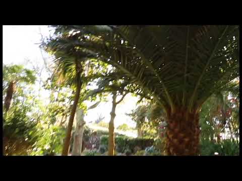 Reva Soft Drink TV Advert