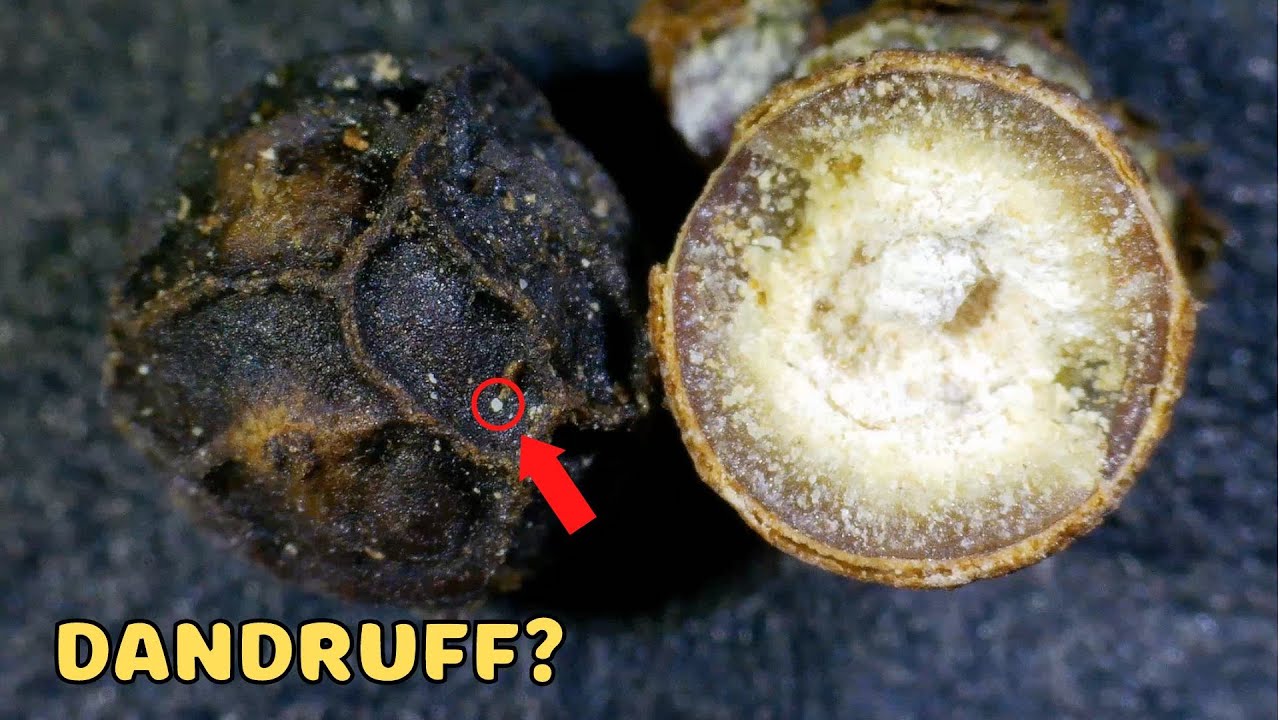 Pepper Under A MIcroscope - YouTube