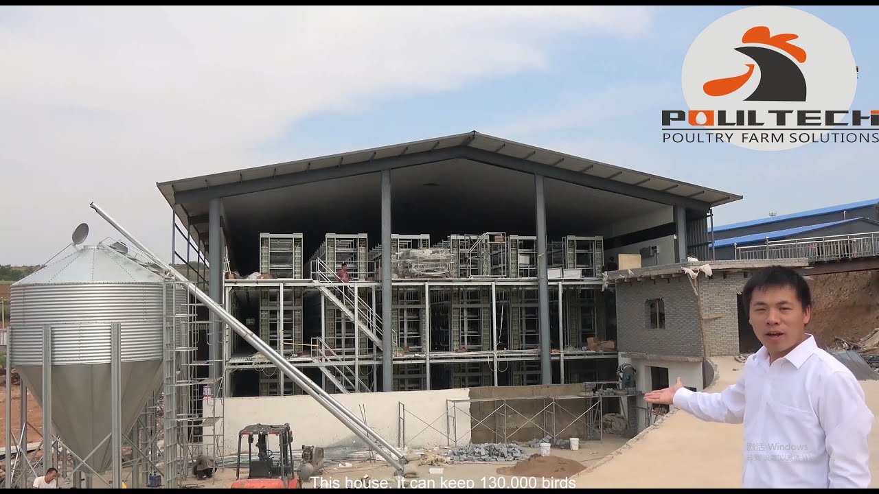 High Quality H Type Layer Cage Farm 100,000 Chickens From Poul Tech ...