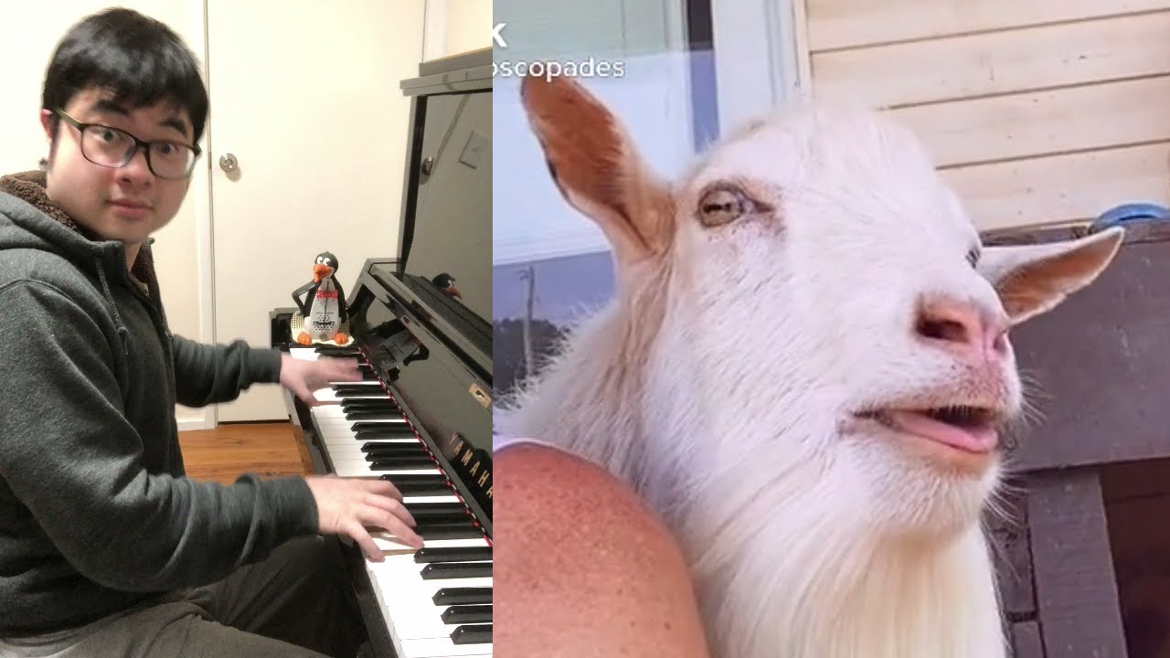 Piano Duet with Funny Goat singing a Bizarre Song - YouTube