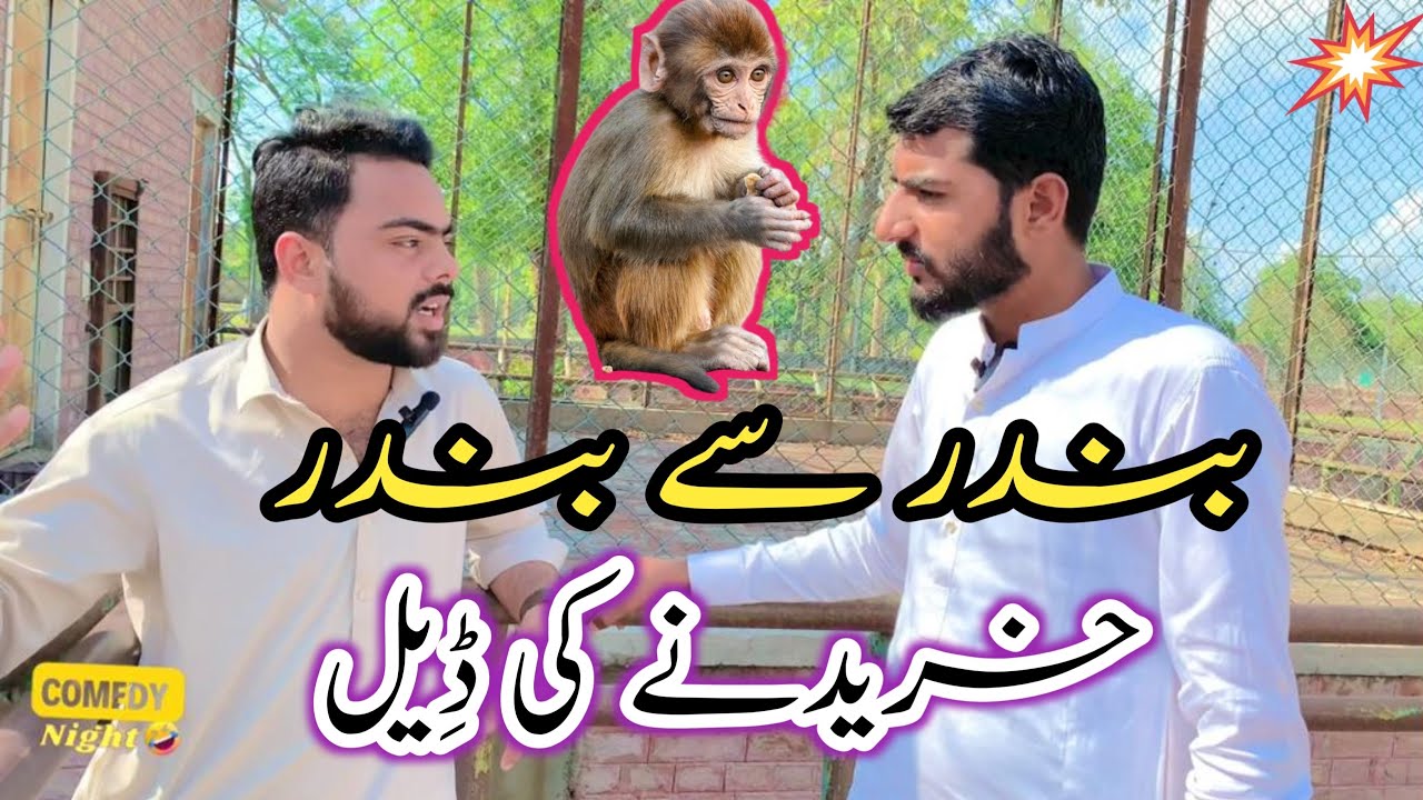 Bandar Sy Bandar Ki Deel || Funny video || Comedy Night - YouTube