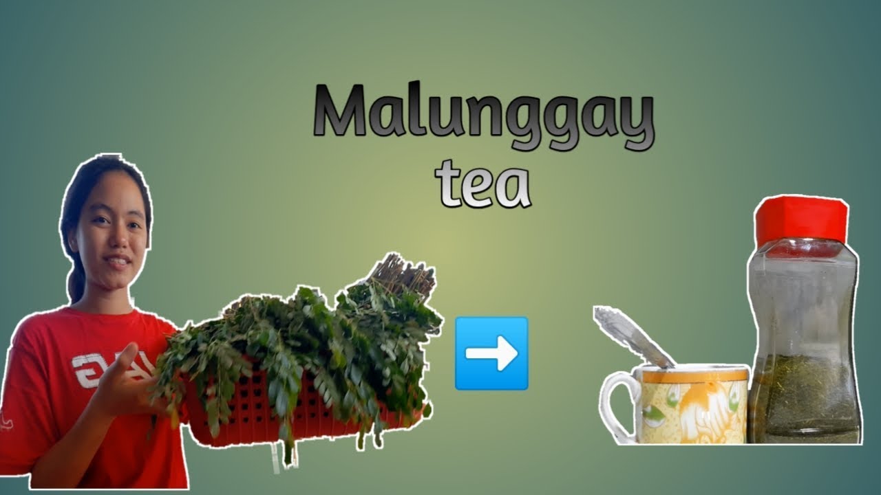 HOW TO MAKE MALUNGGAY TEA (EASY) || tutorial video - YouTube