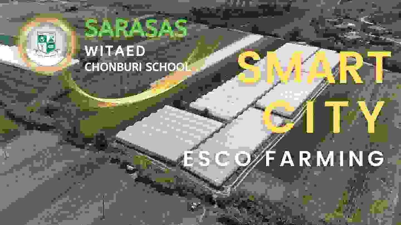 Smart city Esco farming SWC Gr.4 - YouTube