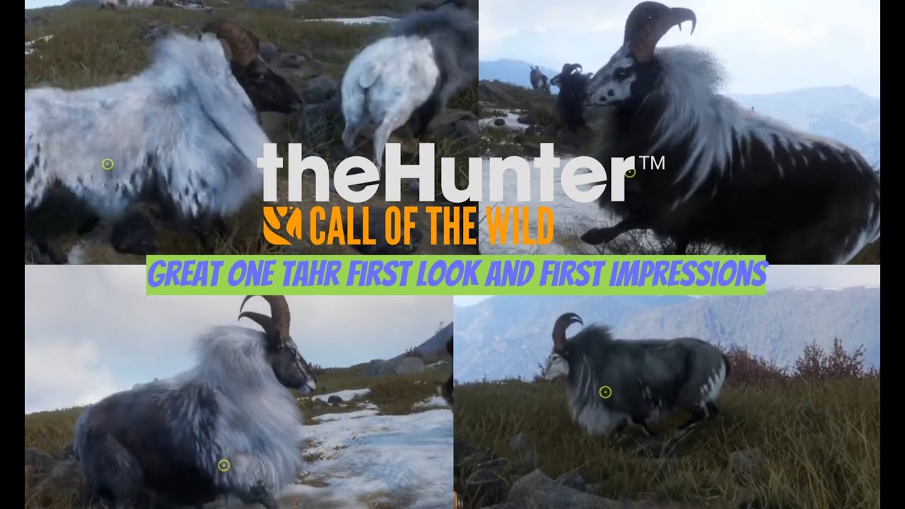 Great One Tahr First Look and Impressions (theHunter Call of the Wild ...