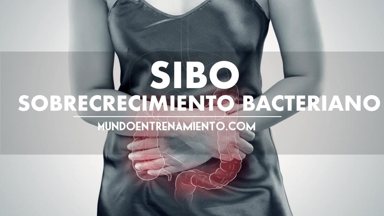 Todo lo que necesitas sabre sobre el SIBO - YouTube
