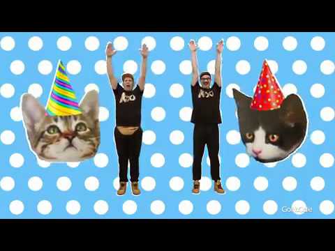 Cat party