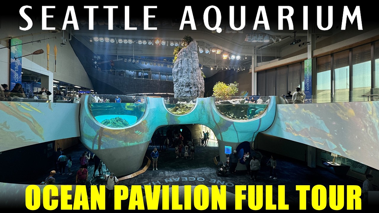 Seattle Aquarium's Ocean Pavilion - 2024 - Walking Tour - Full ...