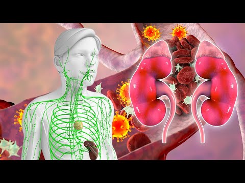 DNA'yı Onarır ve Hasarlı Hücreleri İyileştirir (528Hz EMDR Binaural QT4 Şifa Frekansı) #2