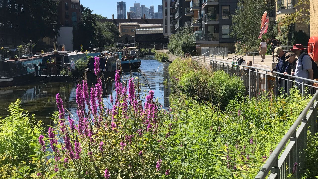 From dream to reality: A new award-winning nature reserve comes to life ...