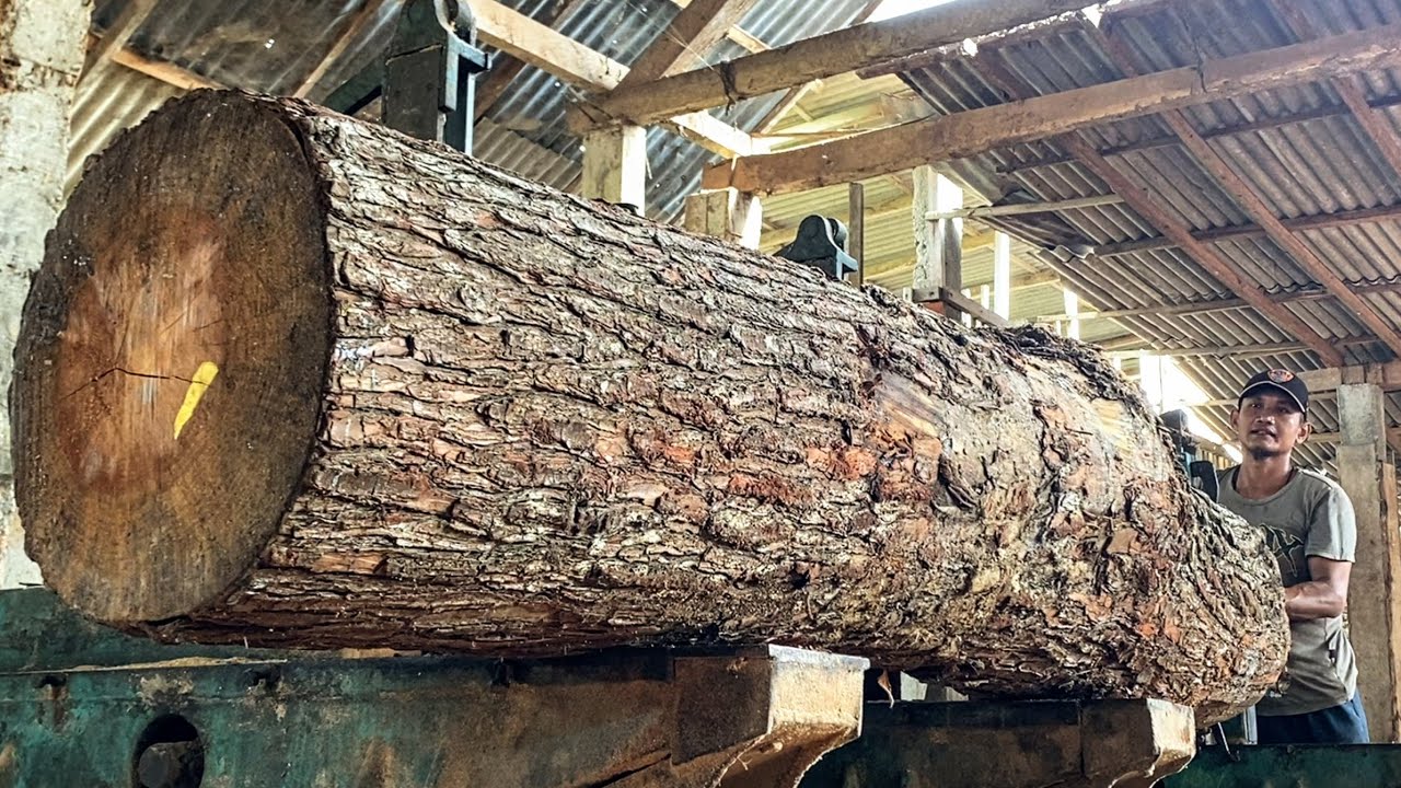 This is what pine wood looks like as hard as iron #43 - YouTube