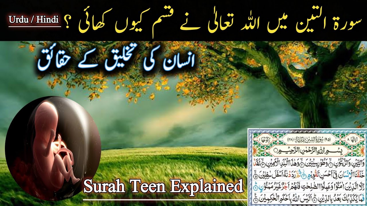 surah teen explained | surah teen meaning and benefits | figs and ...
