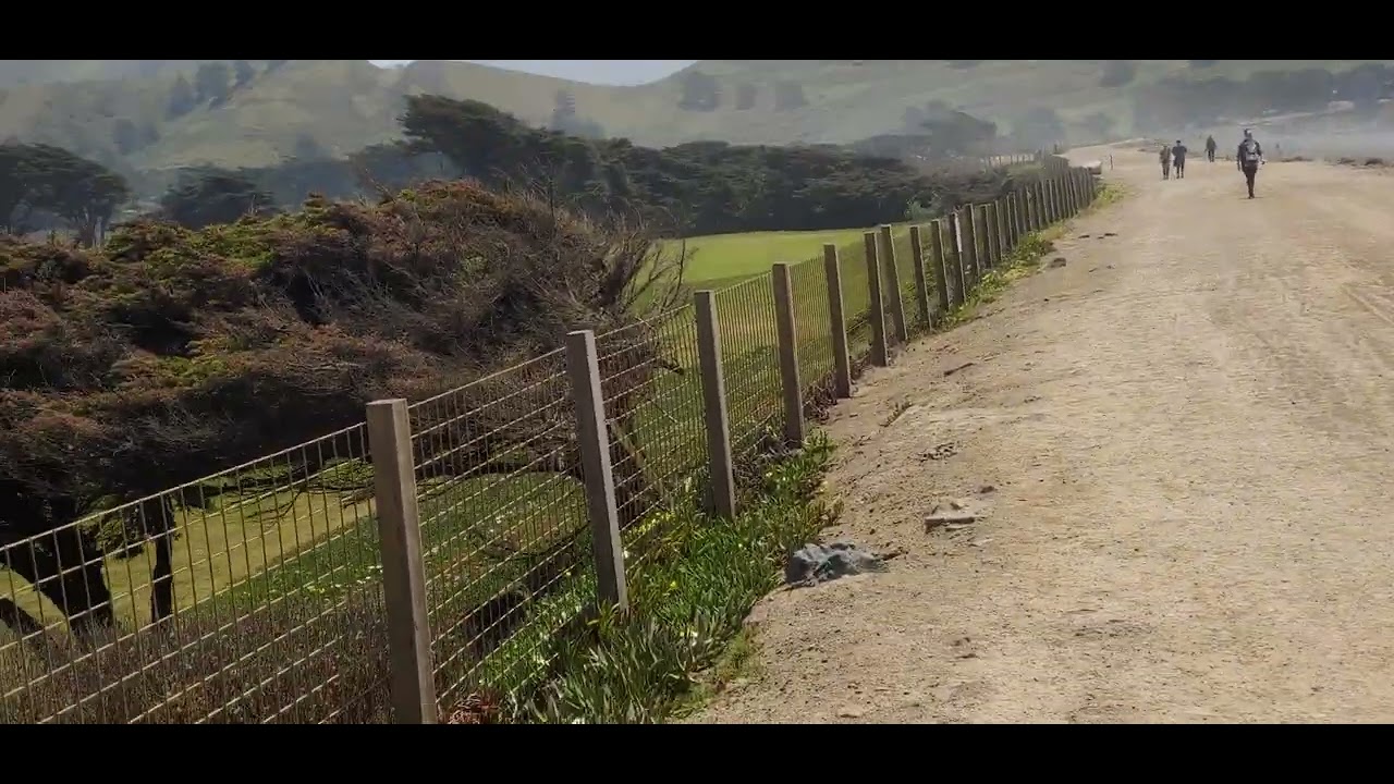 Boomerang's 3 yrs old today and we explore Sharp Park Beach, and Mori Point, Pacifica, Ca - YouTube