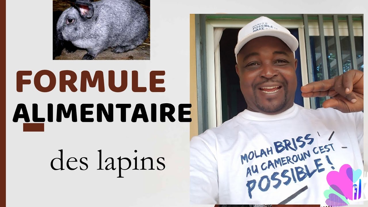 formule mixte aliment de lapins.(provende ) - YouTube