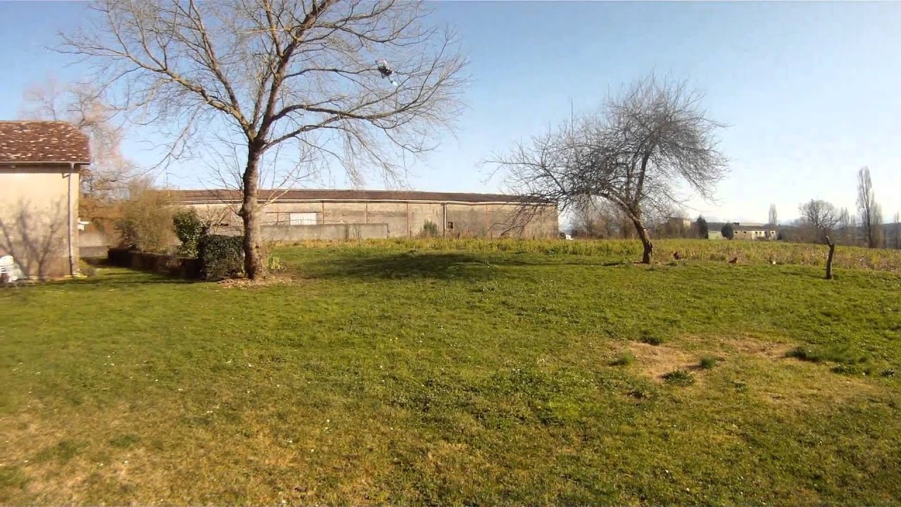 Rattitude training - YouTube