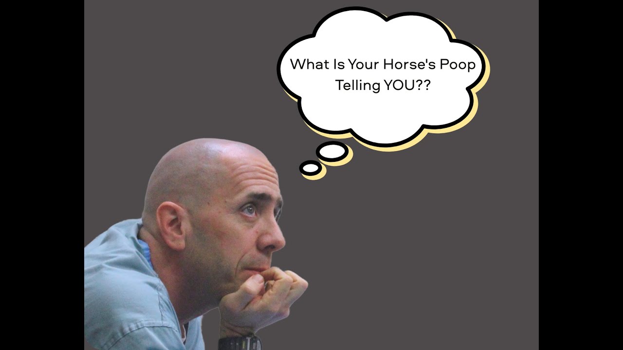 Abnormal and Normal Equine Poop; Knowing the Difference - YouTube