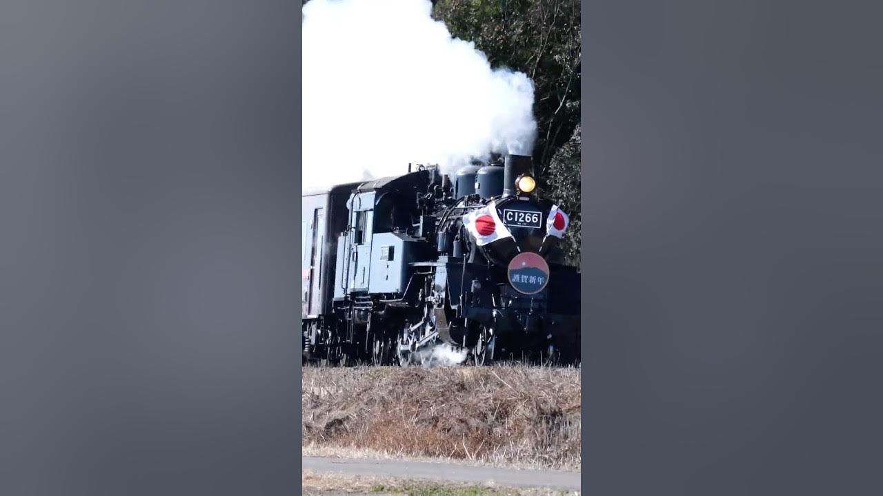 4Kshorts 「SLもおか新年号」白煙で八木岡通過 2024.1.7 [Japanese Steam locomotive Moka railway] class C12-66 'SL ...