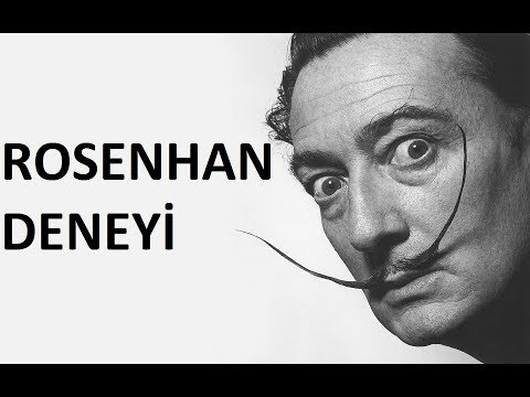 BEN DELİ DEĞİLİM (Rosenhan Deneyi) -10