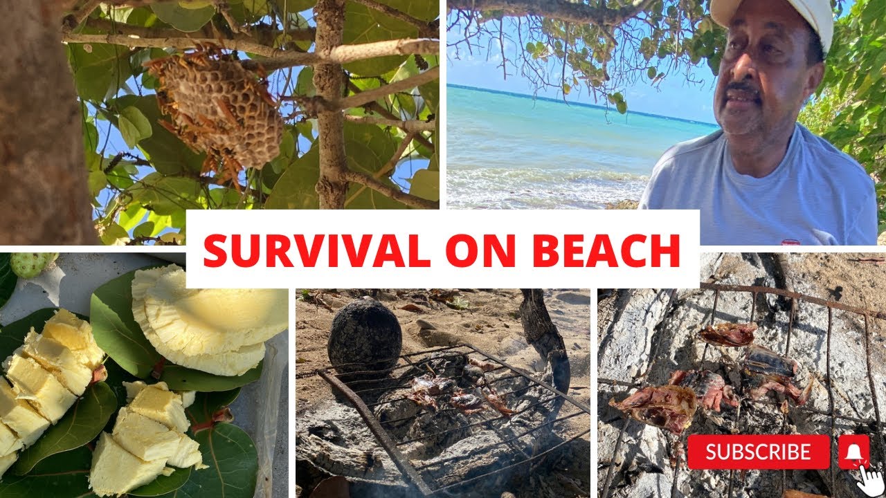 🏝🇯🇲Survival on the beach 🏖️ and this happened 😱 - YouTube