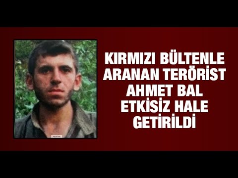 Kırmızı bültenle aranan terörist Ahmet Bal etkisiz hale getirildi