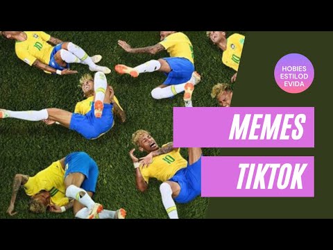 MEME CARROÇA DE CAVALO (HOBIES| ESTILODEVIDA)