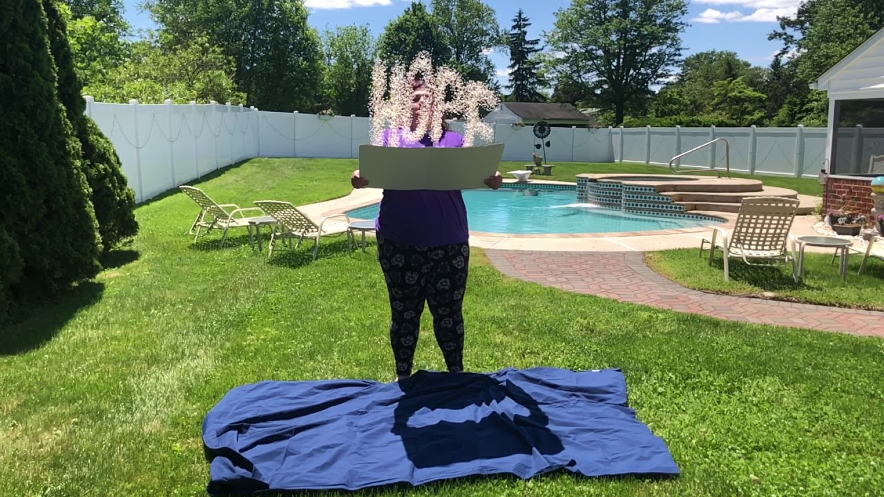 GISH Task #3 - YouTube