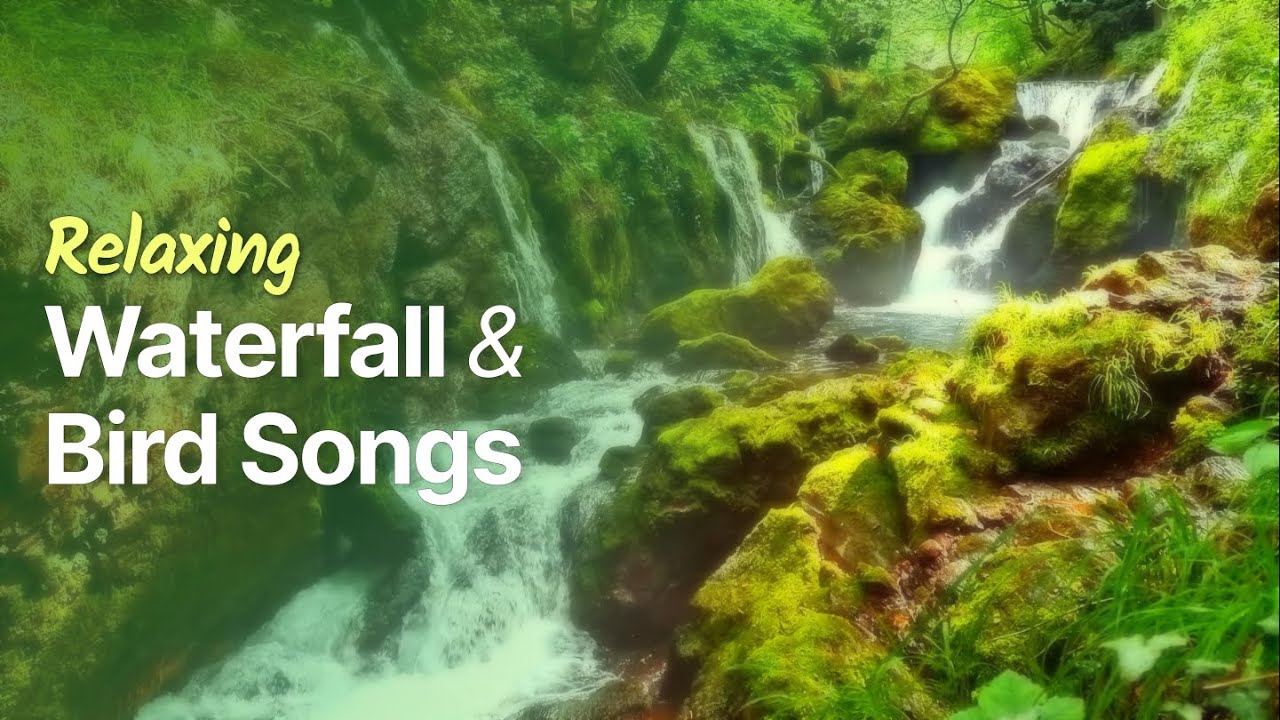 Relaxing Waterfall and Bird Songs - YouTube