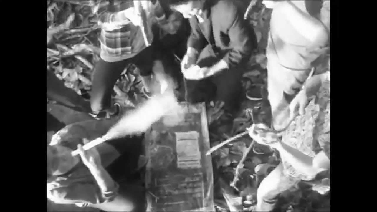 ASIONG SALONGGA - YouTube