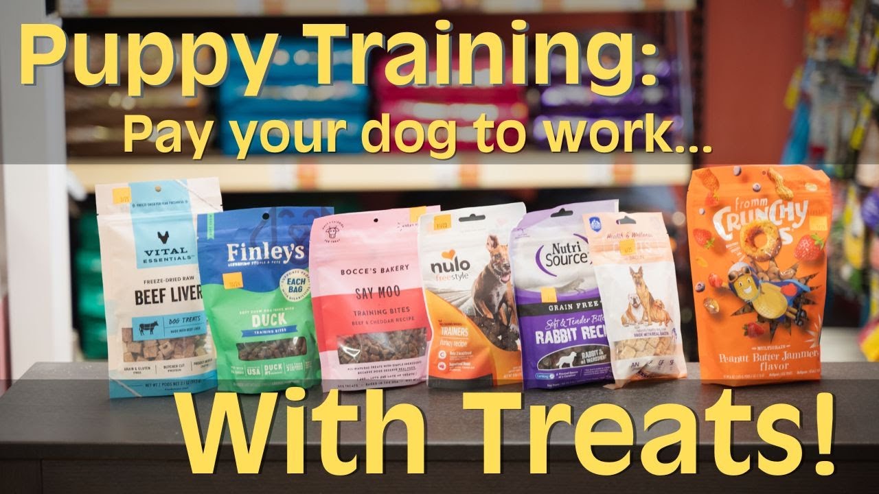 Paying Your dog to work: Premium Puppy Treat Package - YouTube