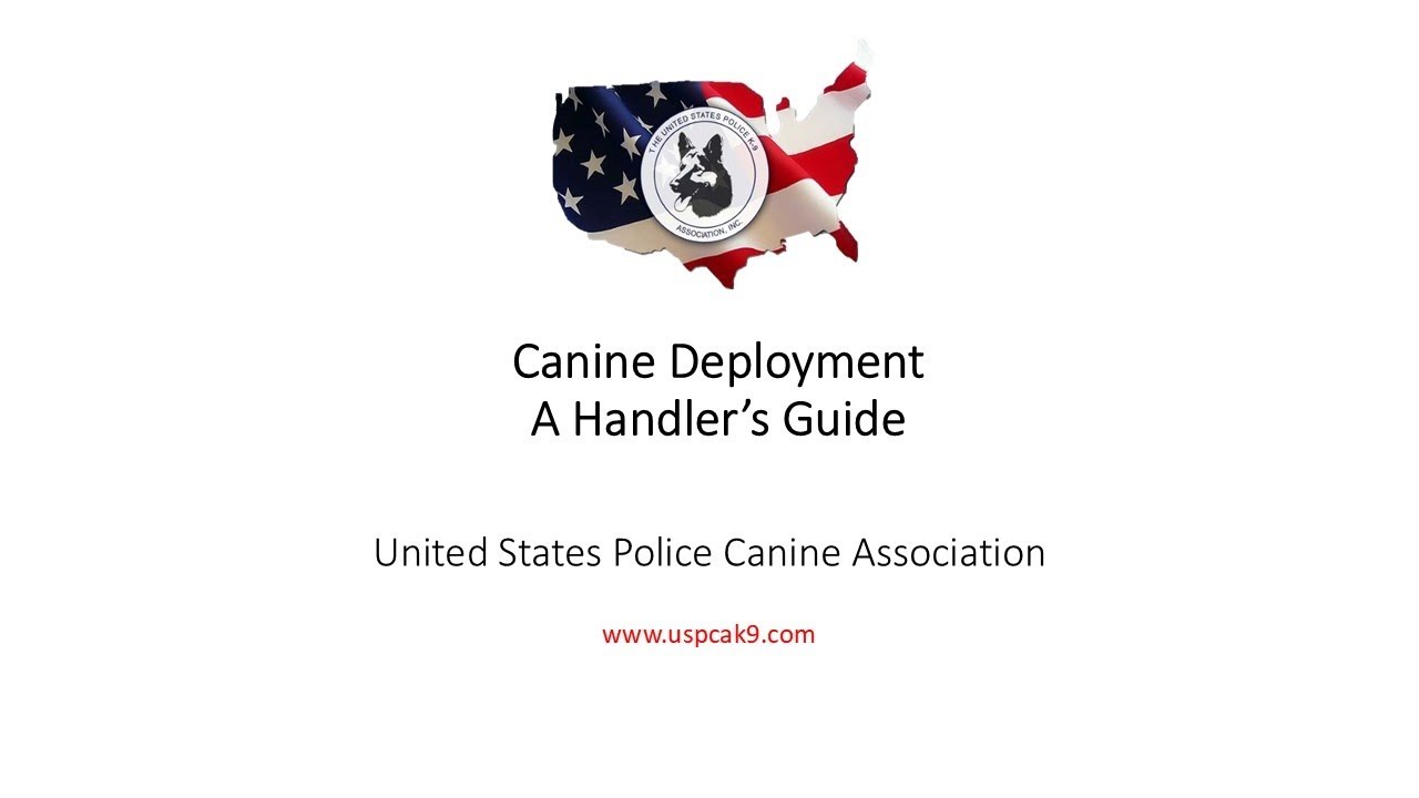 Canine Deployment in 2025: A Handler's Guide - YouTube