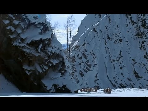 Michael E - Over The Hills And Far Away  *k~kat chill café*   The Smooth Loft