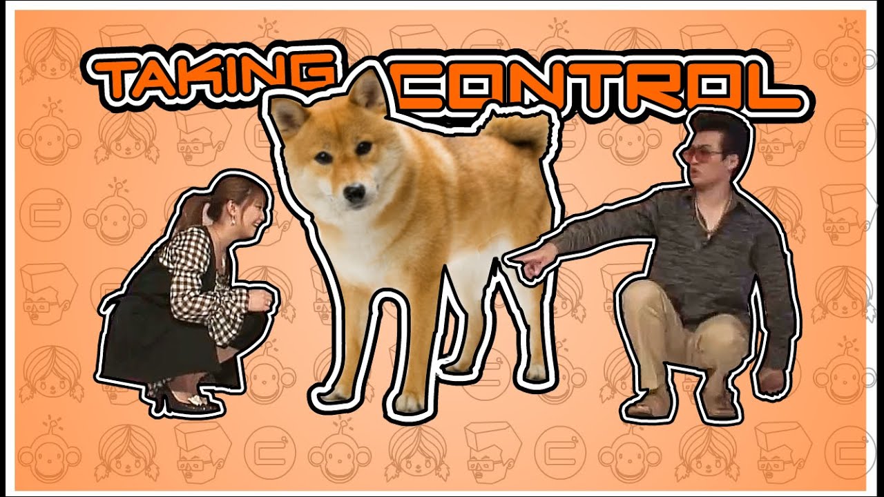 Taking Control: Puppy Training - YouTube