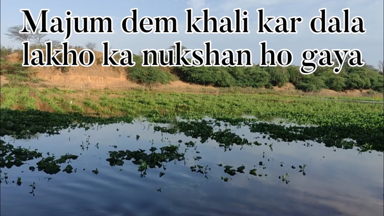 majum dam khali kar dala lakho ka nukshan ho gaya😭😭😭😭 - YouTube